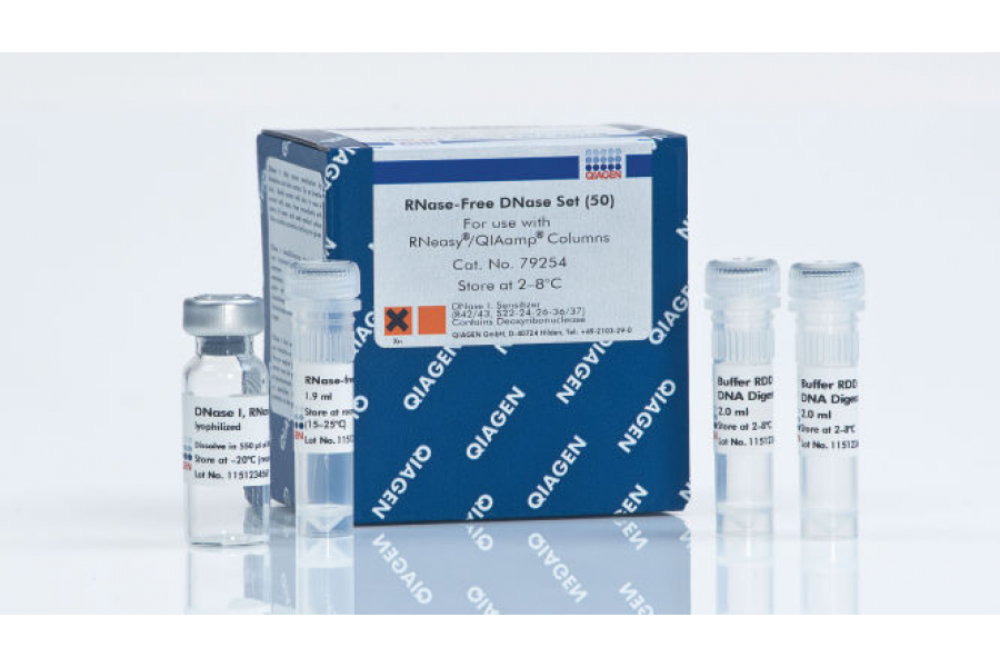 RNase-Free DNase Set